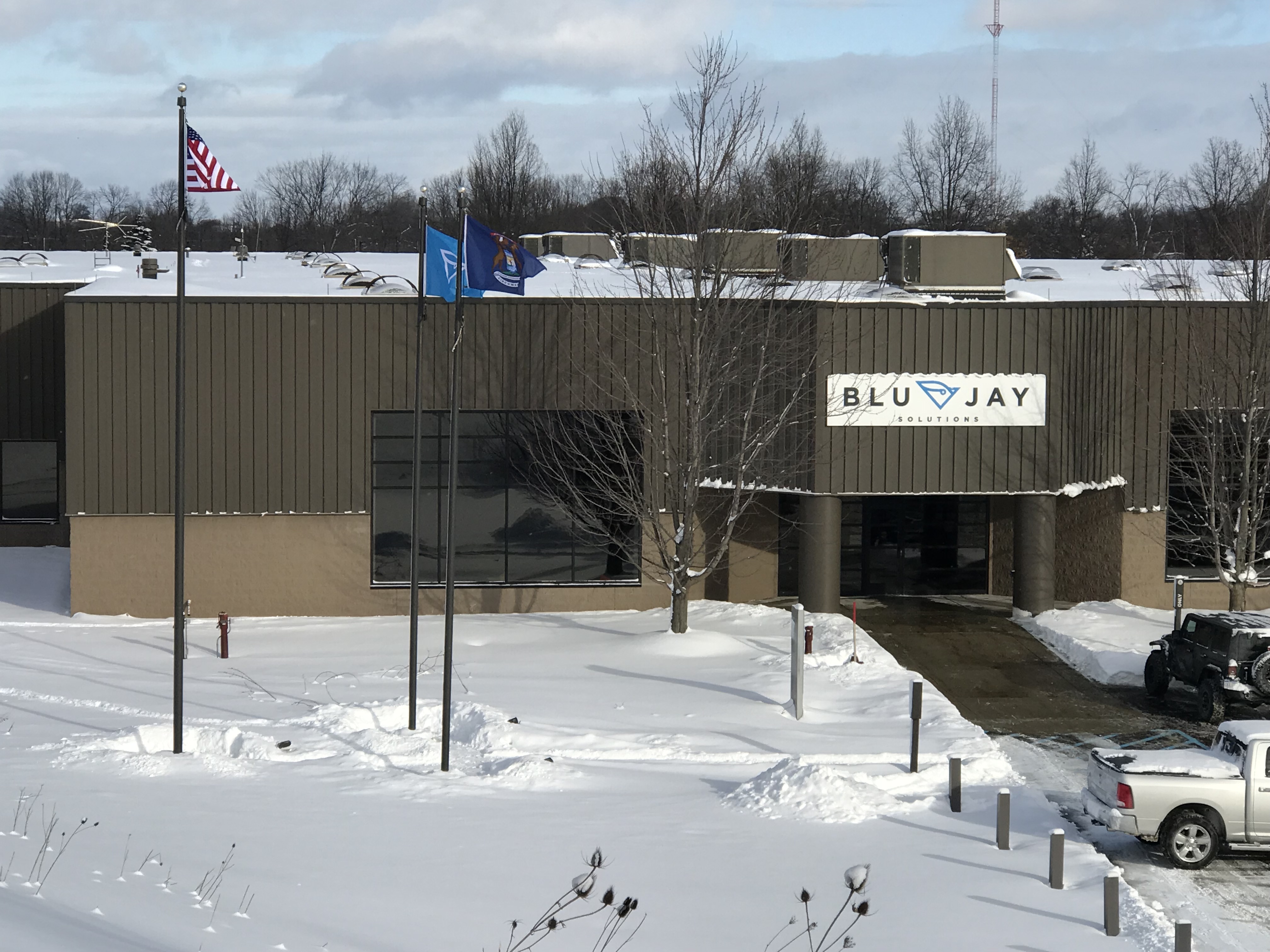 blujay solutions holland