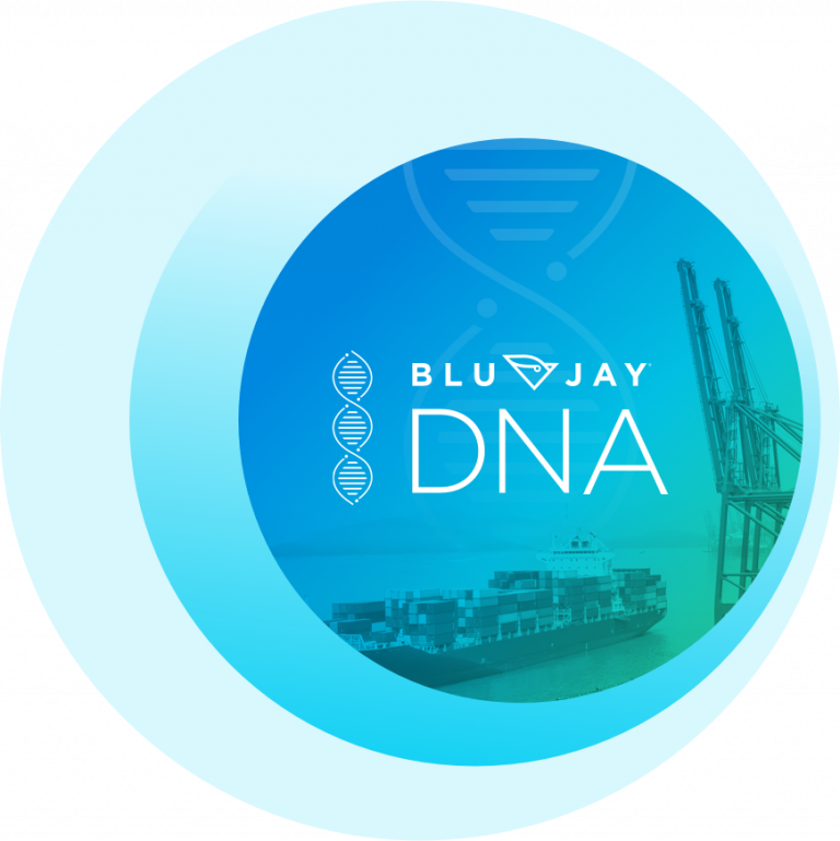 Supply Chain Management | Network Solutions | BluJay