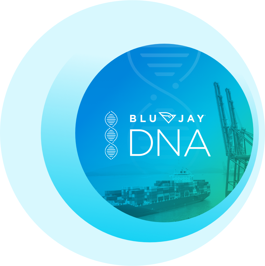 Supply Chain Management | Network Solutions | BluJay